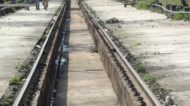 Design of pitlines for maintenance of Railway Trains – Swapnil Garg's ...